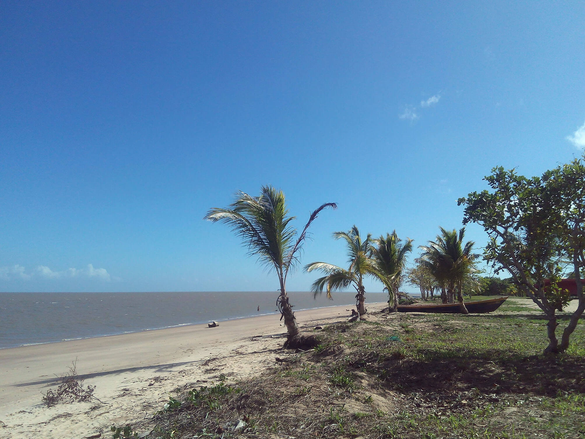 Sea Water Temperature In Awala-Yalimapo: Today And Forecasts ...