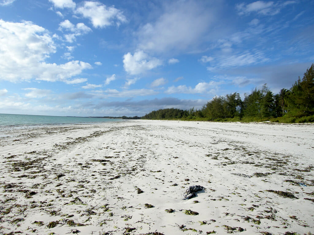 Sea Water Temperature In Jambiani: Today And Forecasts | SeaTemperatu.re