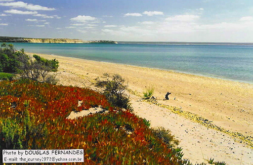 Sea Water Temperature In Valdés: Today And Forecasts | SeaTemperatu.re